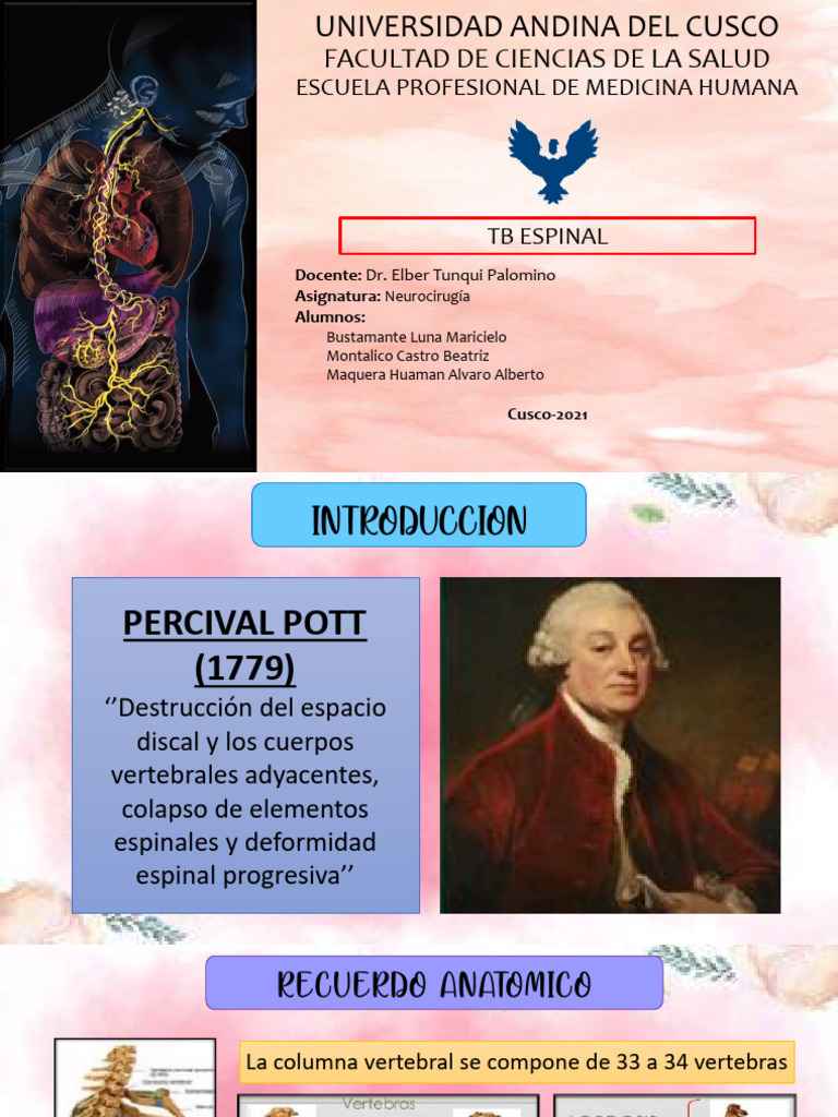 TBC Espinal | PDF | Vértebra | La columna vertebral