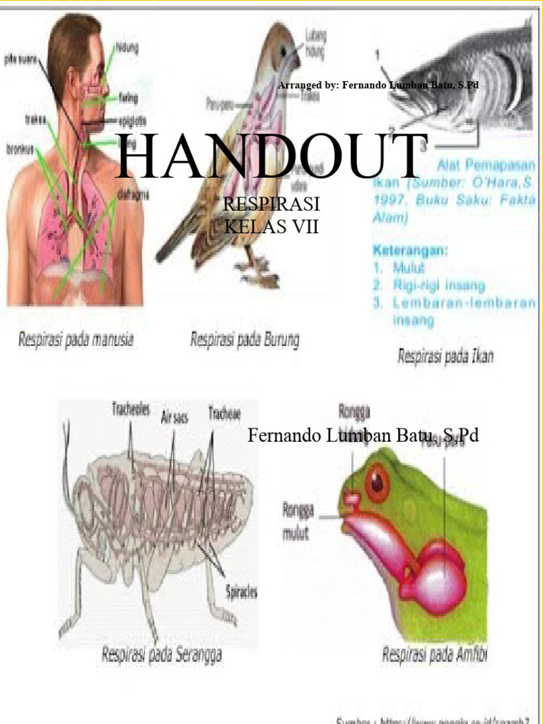 Handout Respirasi | PDF