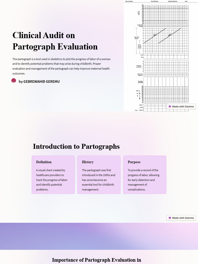 Partograph Audit: Maternal Health Focus | PDF | Maternal Health ...