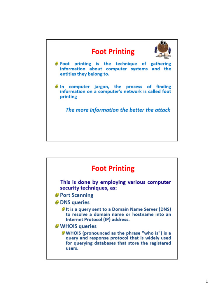 DST - Chapter 2 - Network Enumeration and Foot Printing - 2023 ...