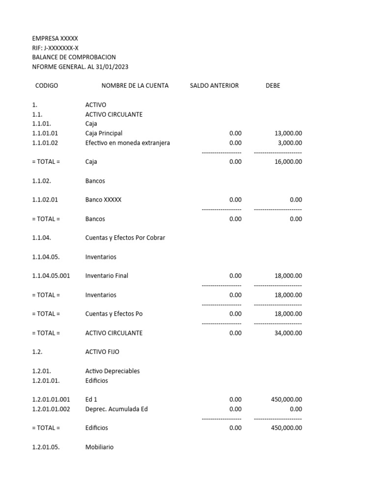 BALANCE Modelo | PDF