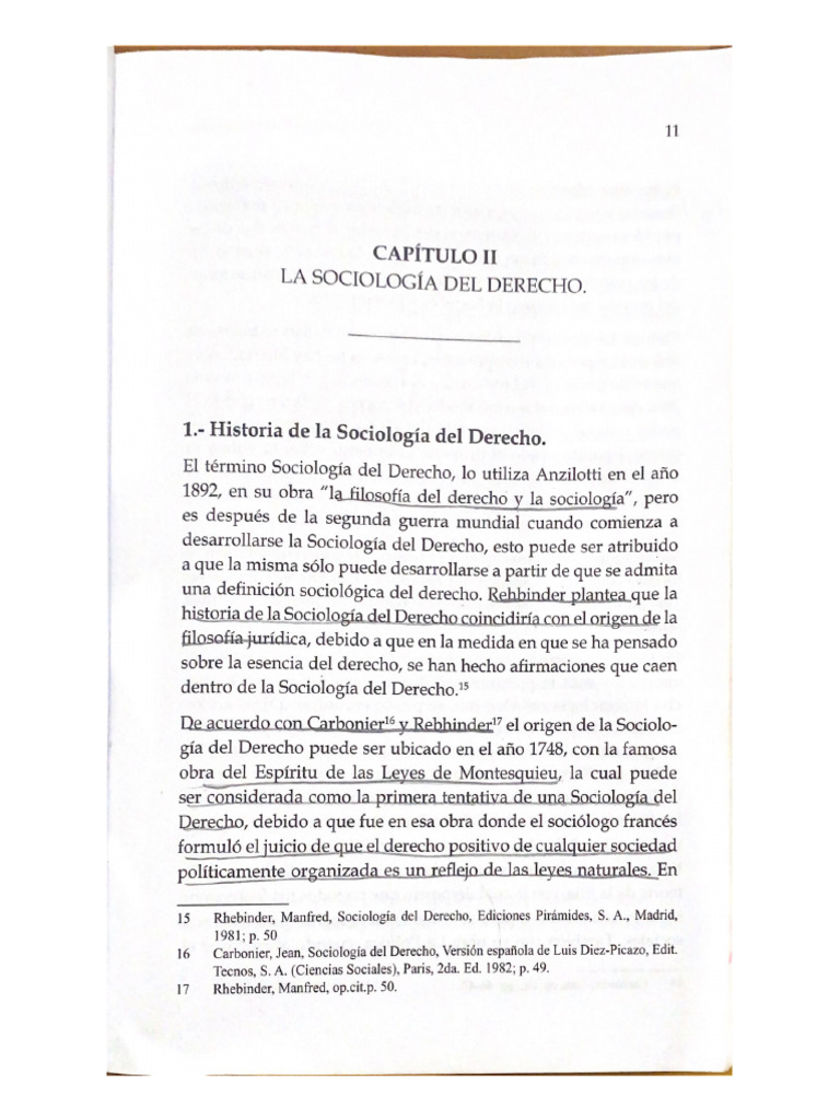 Capítulo Ii | PDF