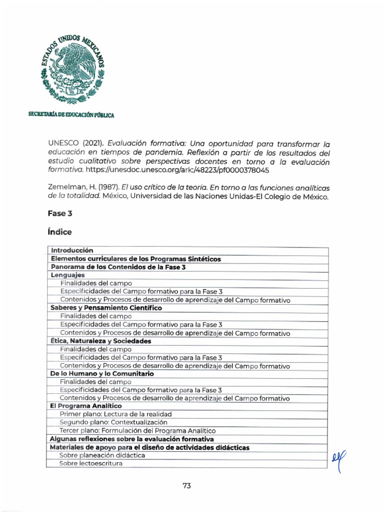 Plan y Programas Sintetico Fase 3 | PDF