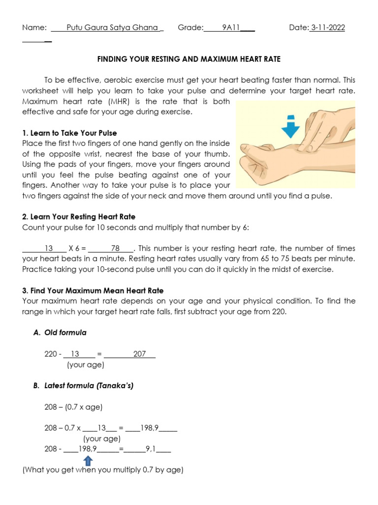 Heart Rate Calculation Worksheet | PDF