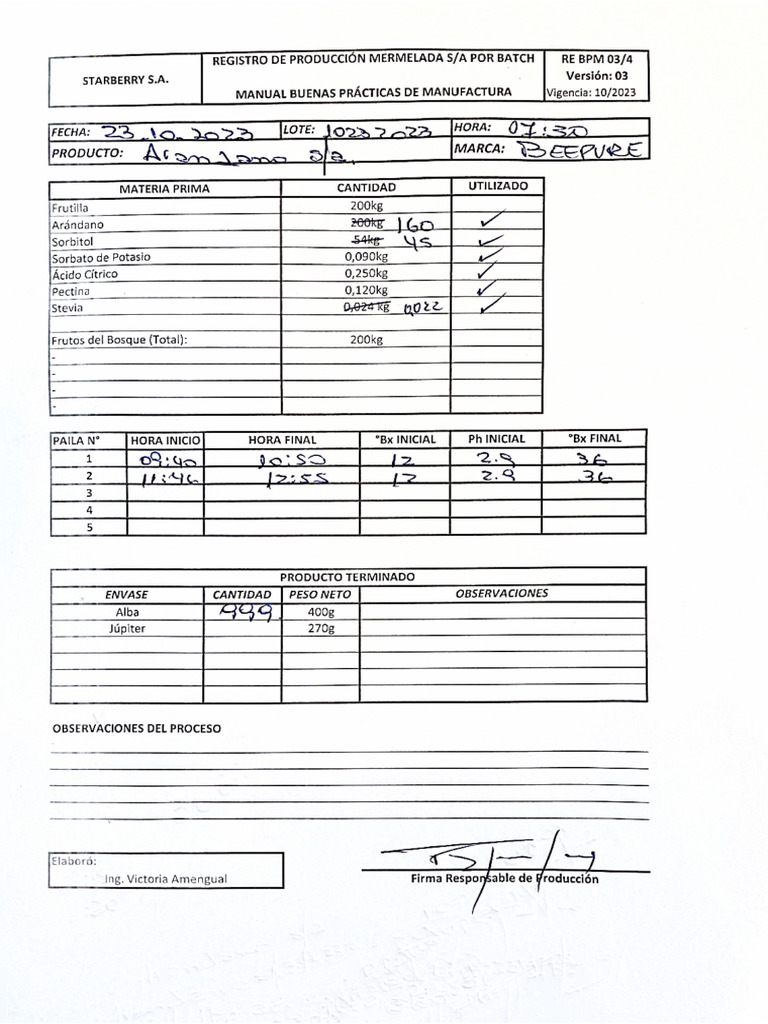 Registro de Producción Por Batch | PDF
