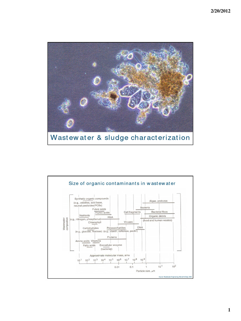 Wastewater Sludge Characterization | PDF | Chemistry | Physical Sciences