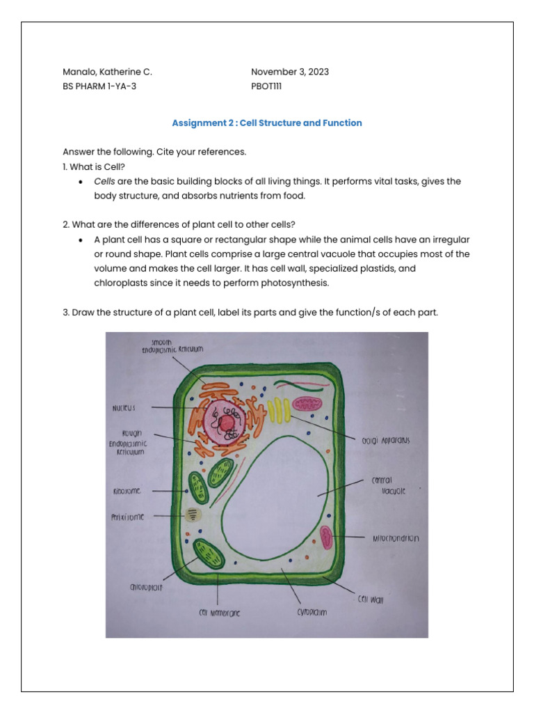 Assignment 2 | PDF | Cell (Biology) | Endoplasmic Reticulum