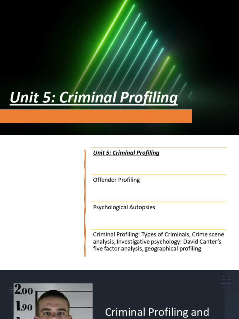 Criminal Profiling | PDF | Offender Profiling | Serial Killer