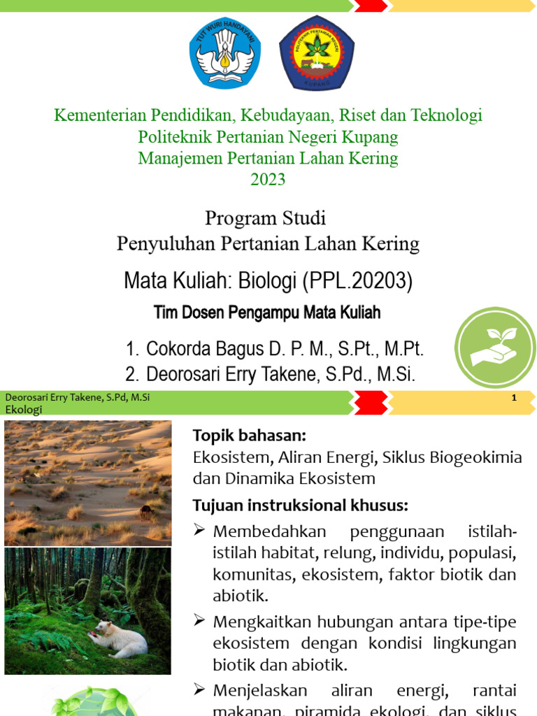 Kuliah 12 Det Pplk Ekologi Ekosistem Piramida Ekologi Dan