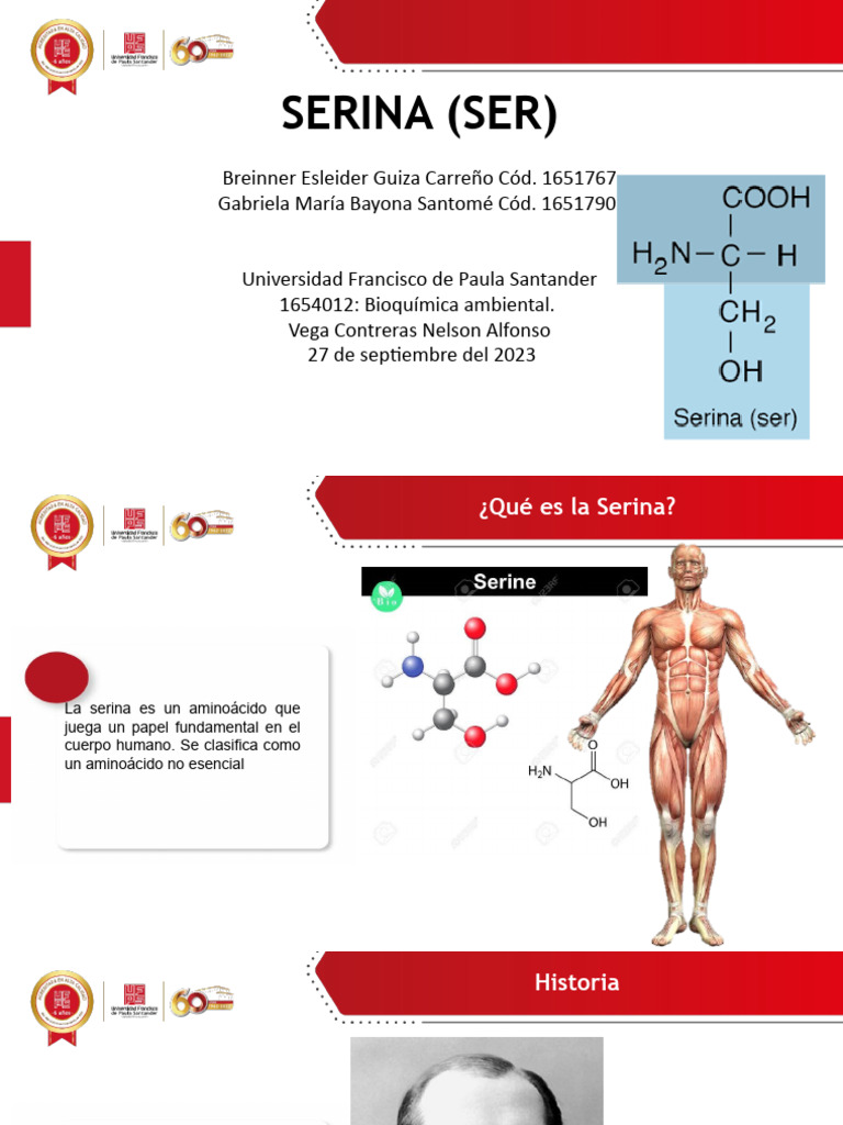 serina | PDF | Serina | Bioquímica