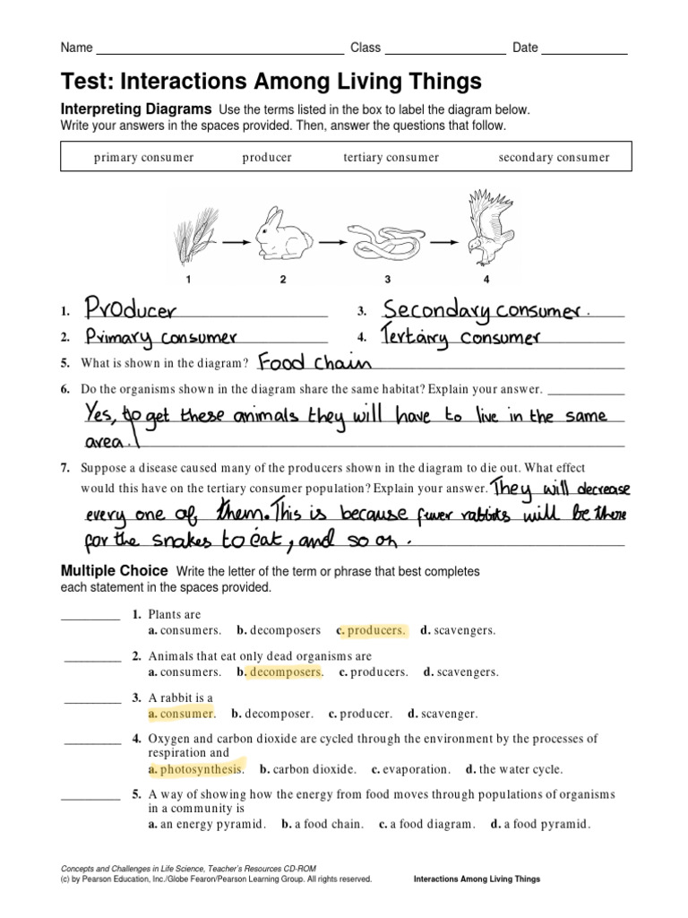 Interactions Among Living Things Worksheet | PDF | Predation | Symbiosis
