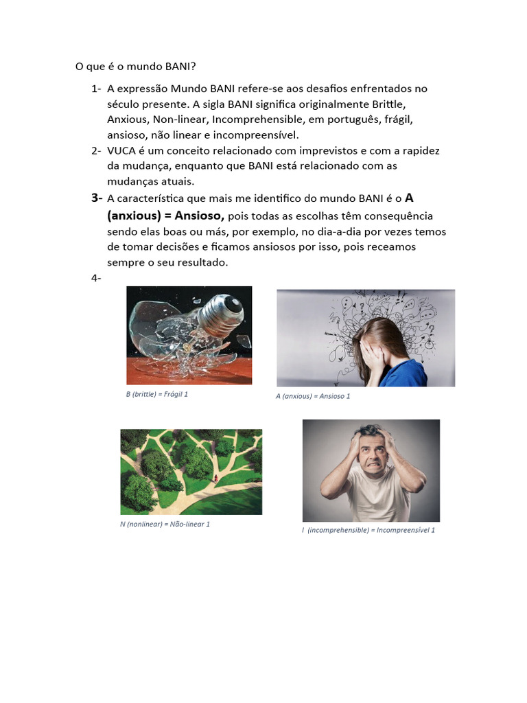 O Que É o Mundo BANI | PDF