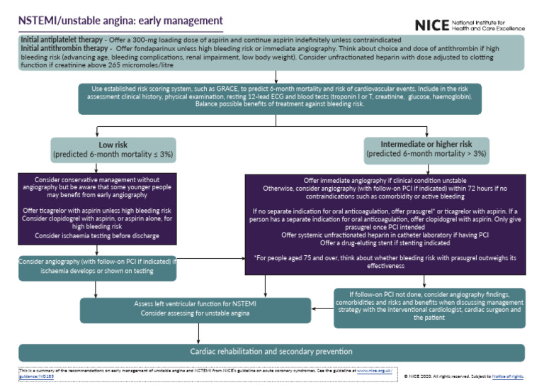 NICE Visual Summary NSTEMI - UA | PDF | Percutaneous Coronary ...