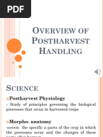 Module 1 Post-Harvest Handling and Seed Technology | PDF | Postharvest | Vegetables
