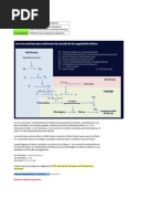 Guía TACO: Uso Terapéutico y Profiláctico | PDF | Medicina CLINICA ...