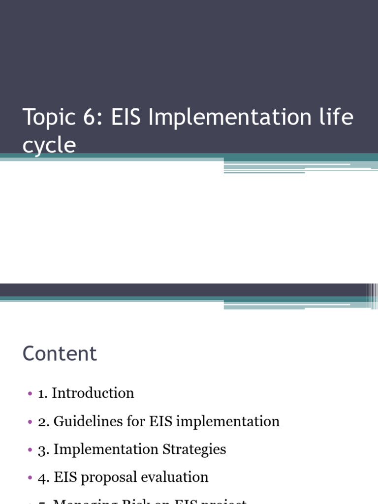 EIS Implementation Life Cycle Guide | PDF | Enterprise Resource Planning | Business