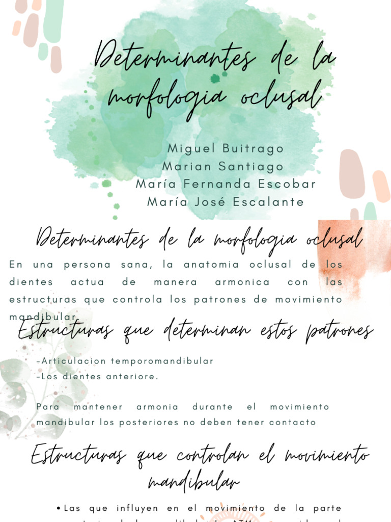 Morfología Oclusal y Surcos Dentales | PDF