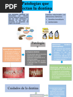 Código FDI: Guía para Odontólogos | PDF | Diente | Ramas de Odontología