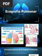 Protocolo Blue | PDF | Enfermedades y trastornos | Neumología