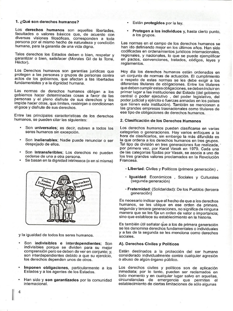 1 Reporte Luiza | PDF | Derechos humanos | Invalidez