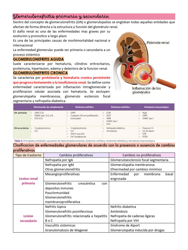 Glomerulonefritis Primaria y Secundaria | PDF | Enfermedades del sistema genitourinario ...