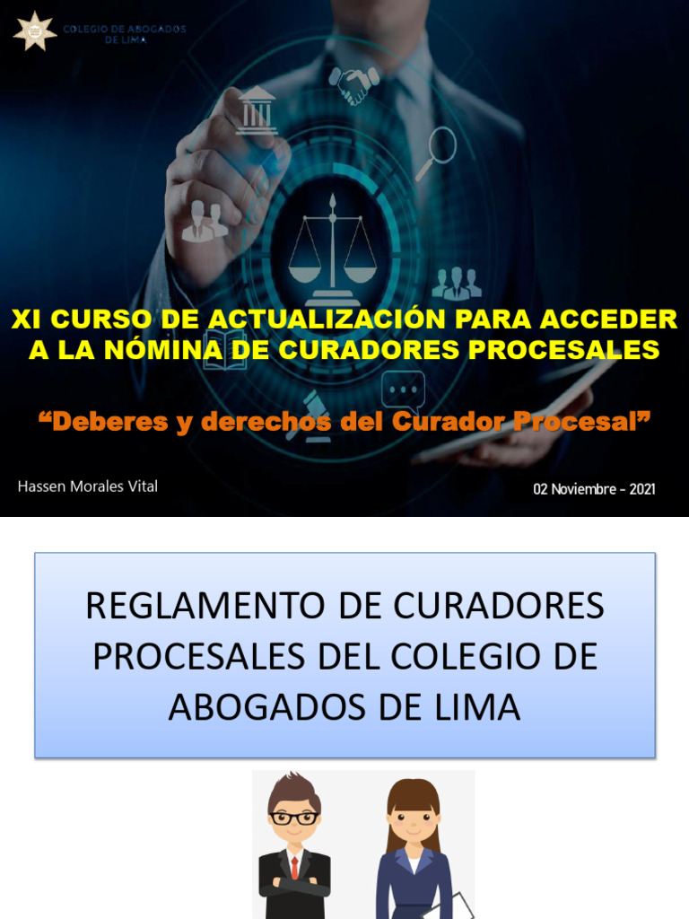 Actualización sobre Curadores Procesales 2025 | PDF | Ley procesal ...