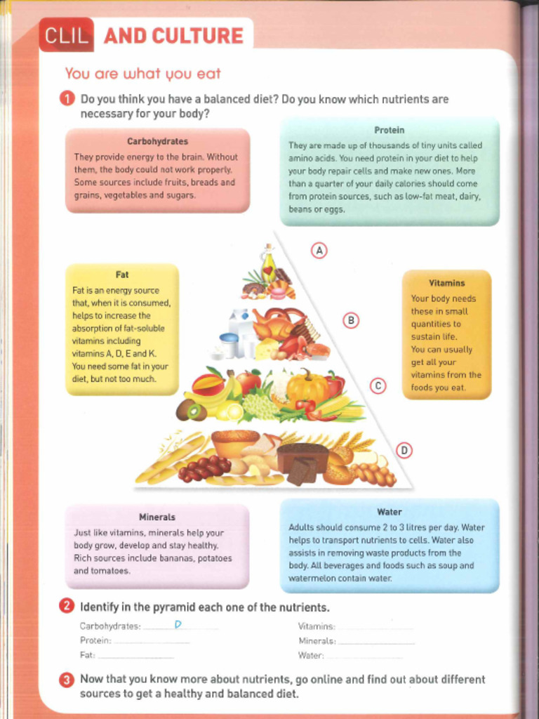 You Are What You Eat | PDF