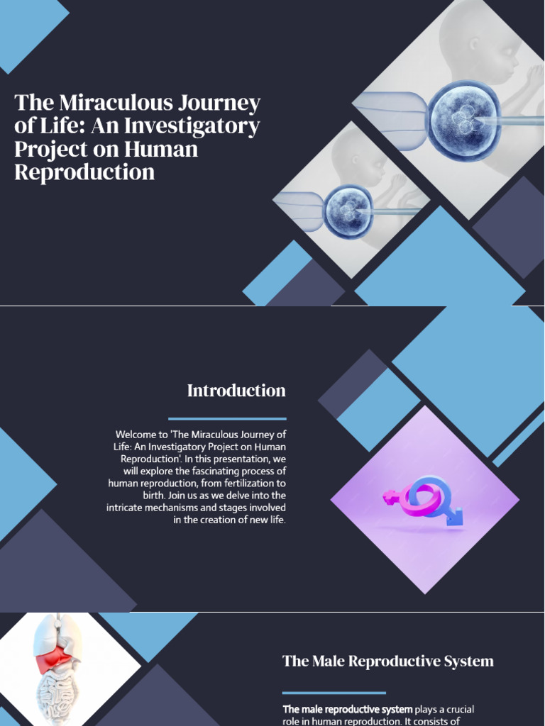 wepik-the-miraculous-journey-of-life-an-investigatory-project-on-human ...