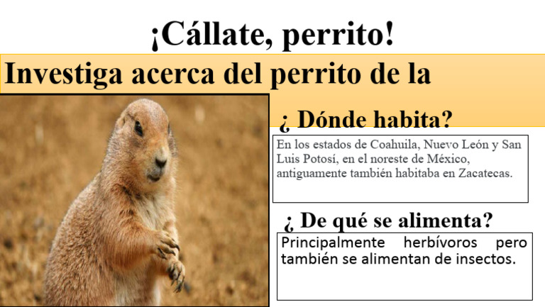 Cállate, Perrito! | PDF