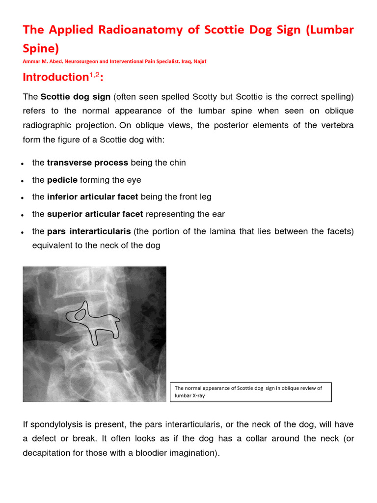 Scottie Dog Sign | PDF | Vertebra | Skeletal System