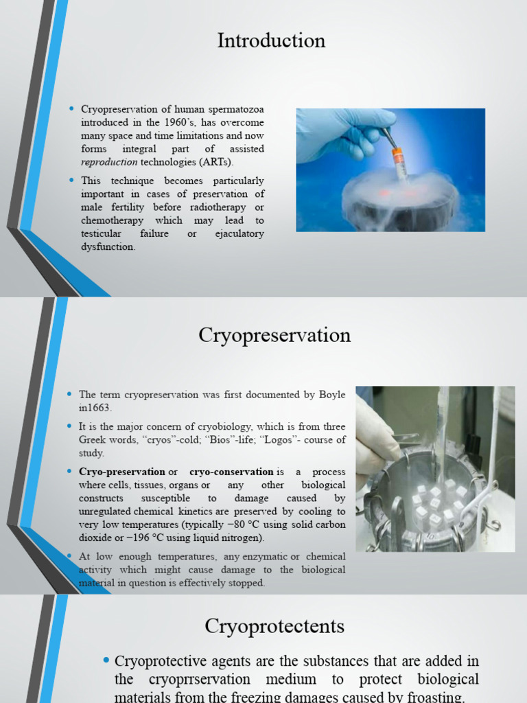 Semen Cryopreservation | PDF | Semen | Human Reproduction