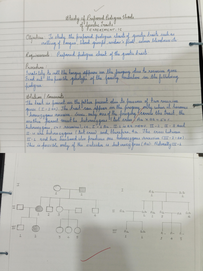 Practical 13,14,15 | PDF