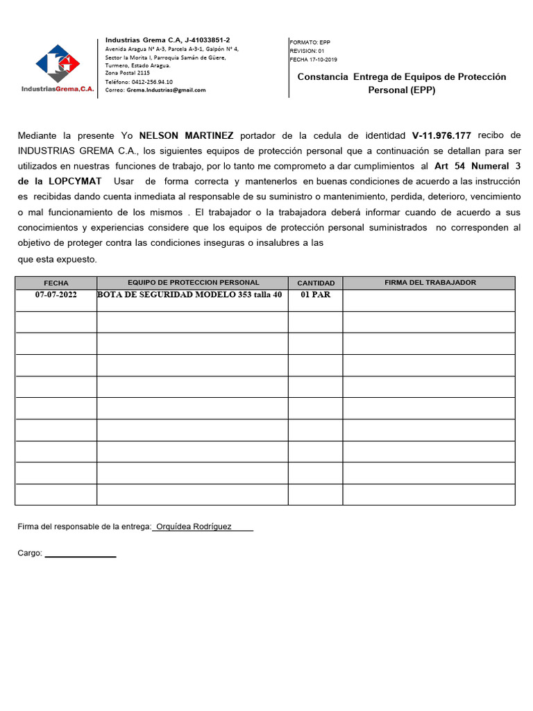 FO-EPP-01 Formato Constancia Entrega EPP | PDF