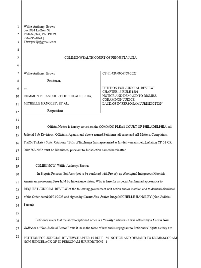Petiton For Review: Coram Non Judice | PDF | Fourteenth Amendment To ...