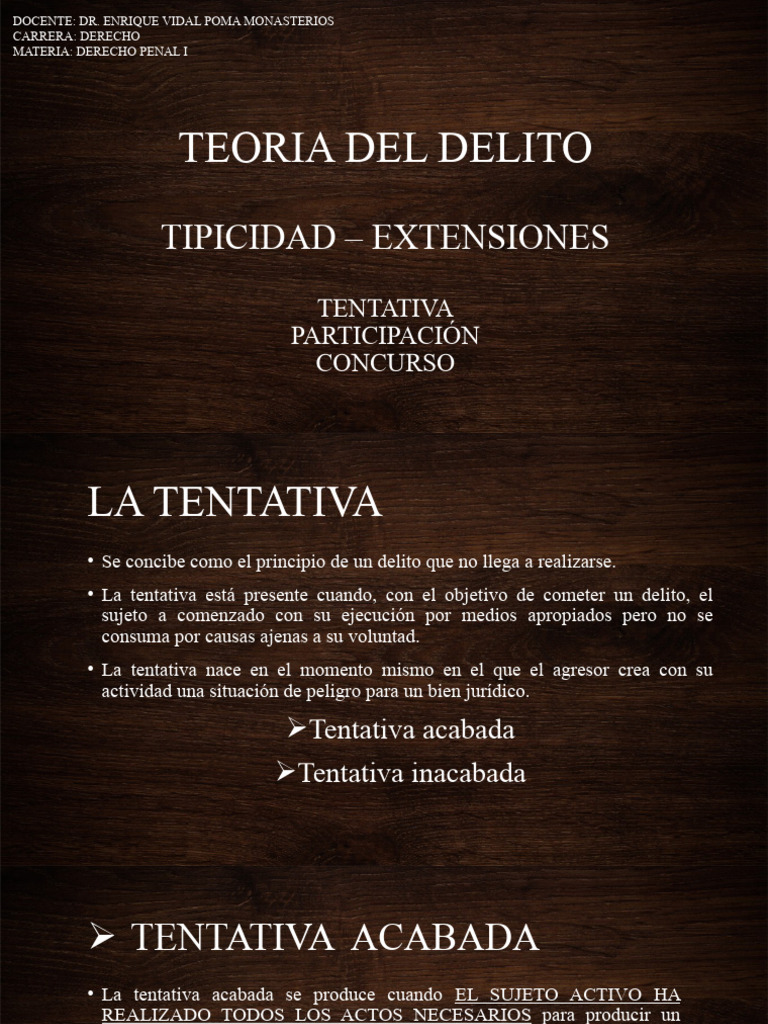 Teoria Del Delito Tipicidad Extensiones Pdf Derecho Penal Ley