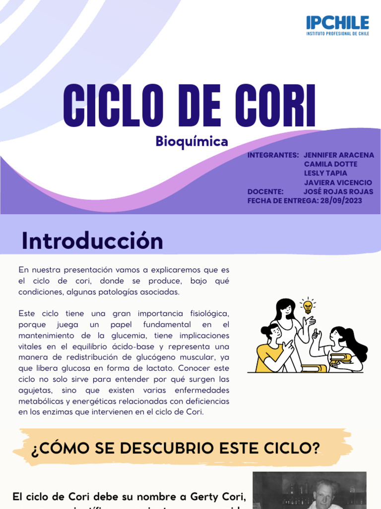 Ciclo de Cori | PDF | Ácido láctico | Bioquímica