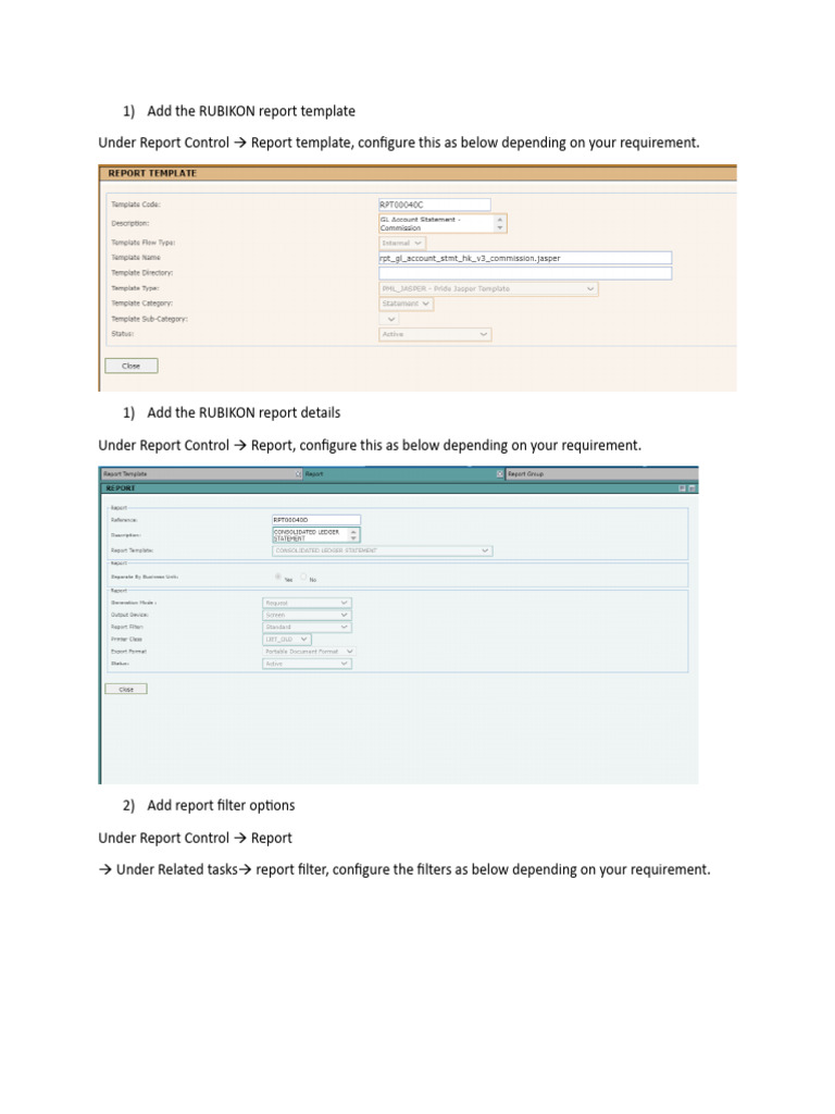 Configure New Report in RUBIKON | PDF | Computers
