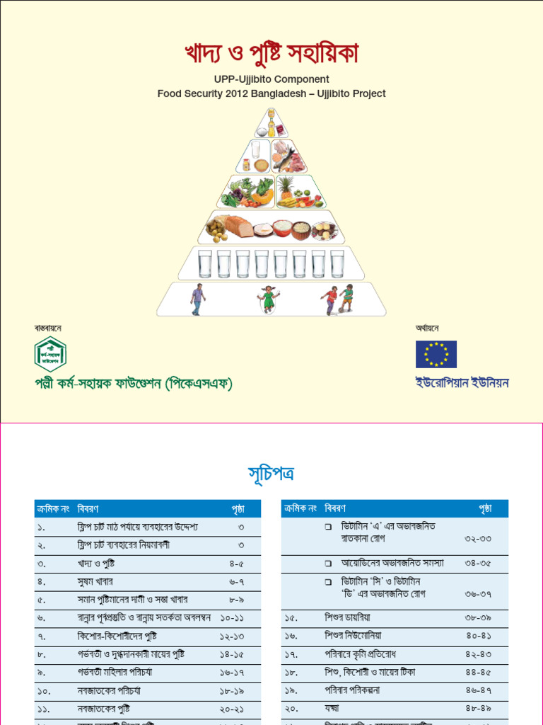 Food and Nutrition Guide Flipchart | PDF
