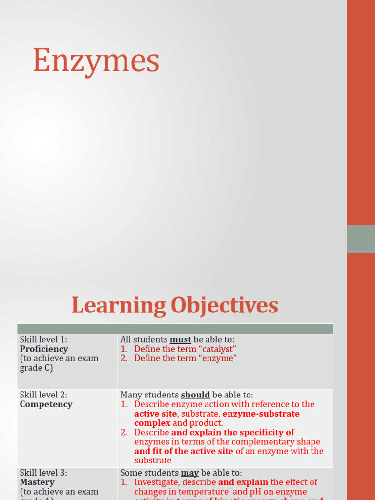 ks4 Enzymes | PDF | Enzyme | Active Site