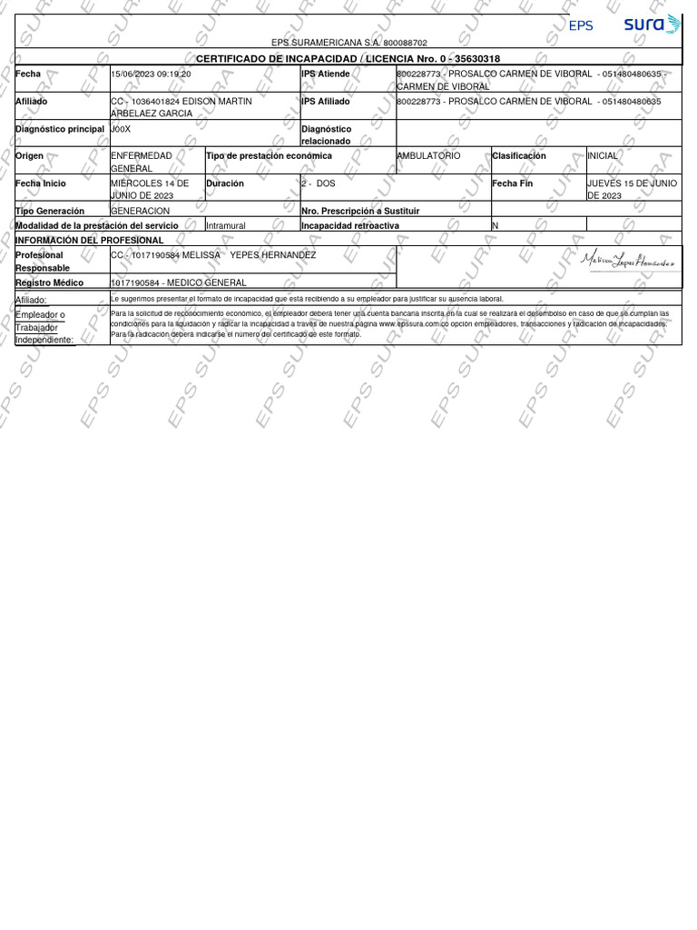 Incapacidada Sura | PDF