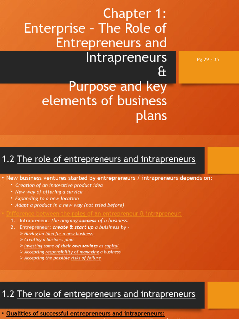 Chapter 1 - Enterprise - The Role of Entrepreneurs and Intrapreneurs ...