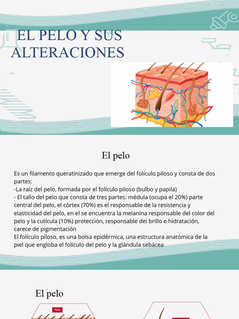 Alteraciones del vello y tratamientos | PDF | Ántrax | Causas de la muerte