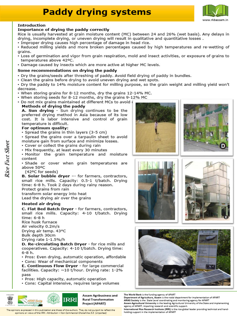Paddy Drying Systems | PDF | Rice | Agriculture