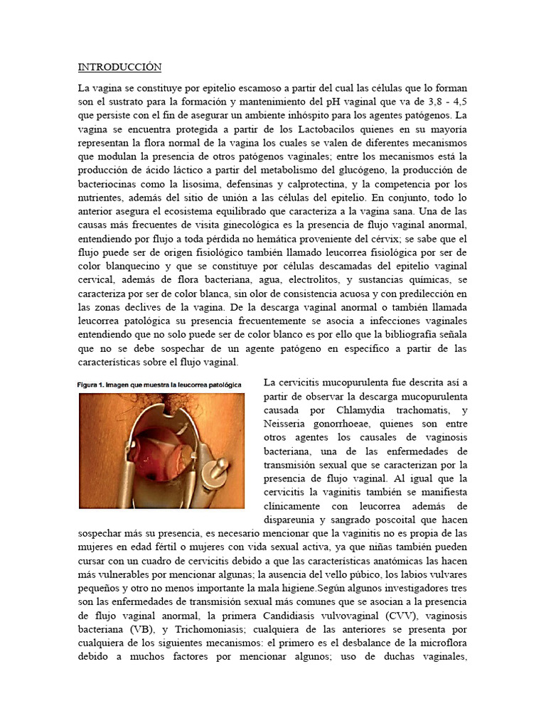 Tipos y causas de leucorrea vaginal | PDF | Especialidades Medicas ...