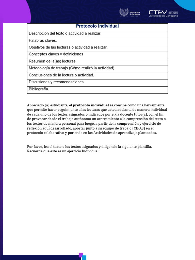 Plantilla Protocolo Individual | PDF