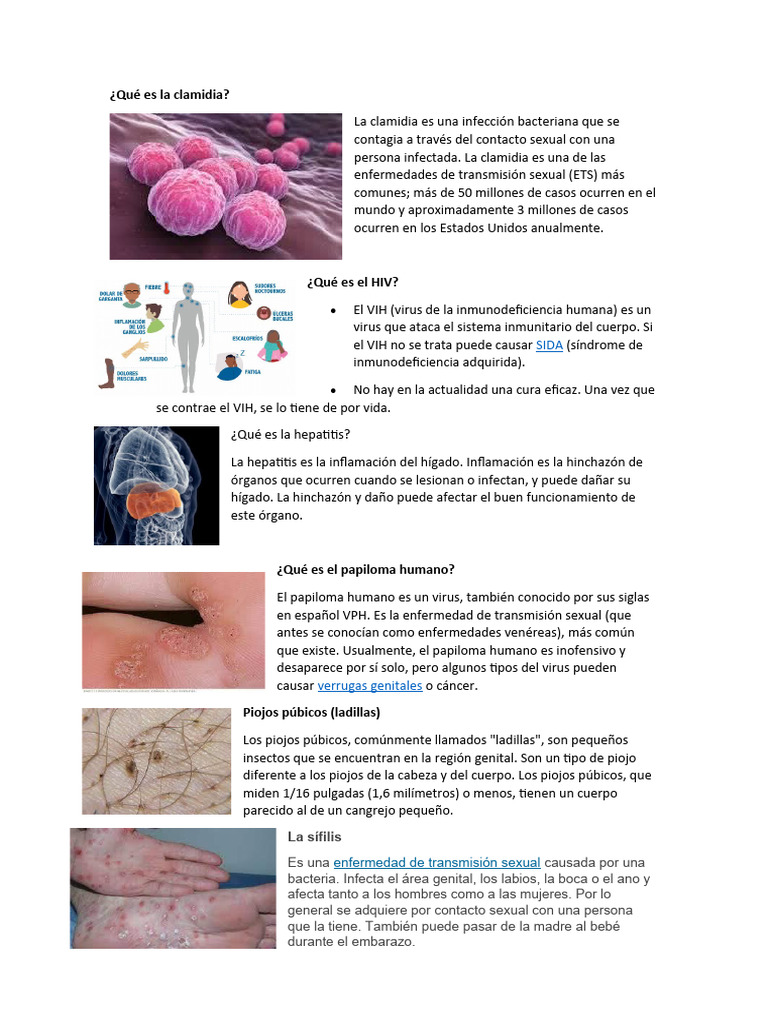 Qué Es La Clamidia | Descargar gratis PDF | Infección transmitida ...