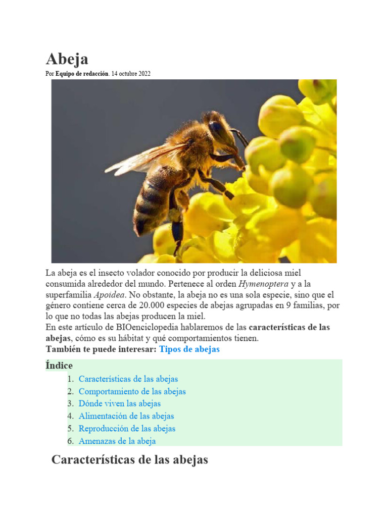 Abeja | PDF | Abejas | Miel