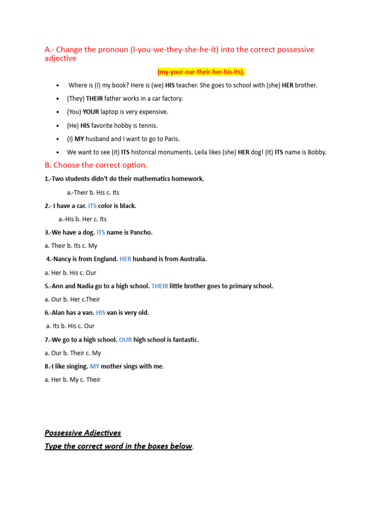 Possessive Adjectives Practice Mich | PDF | Syntax | Linguistic Morphology
