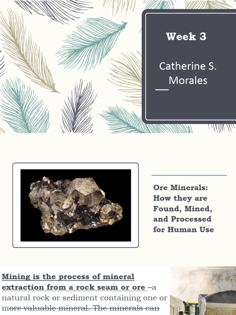 Week 3 Mining Fossil Fuels Lecture | PDF | Mining | Petroleum