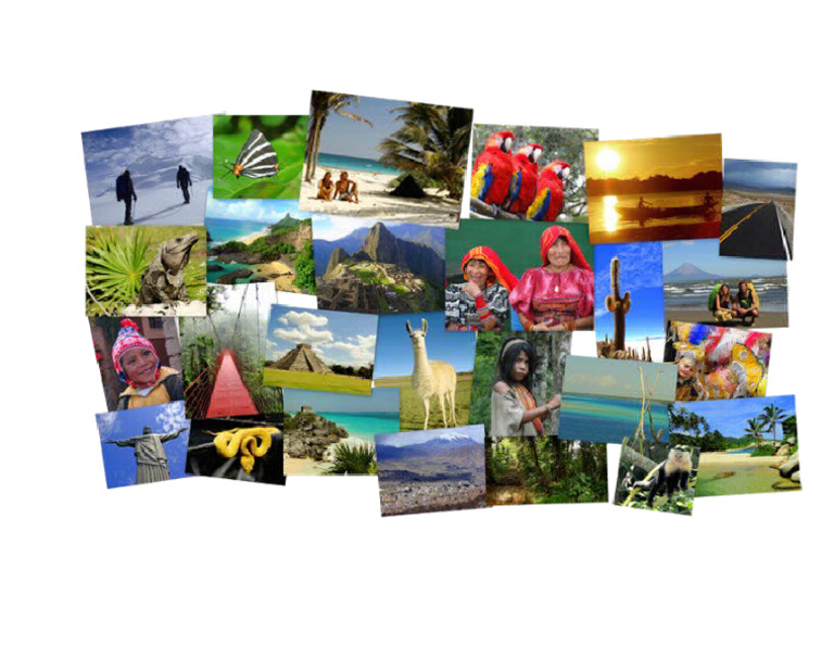 Collage Riquezas de Colombia | PDF